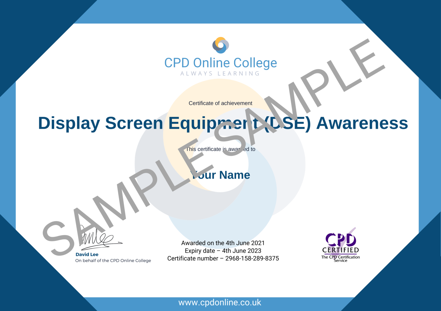 DSE Awareness Online Course | CPD & ROSPA Approved Training