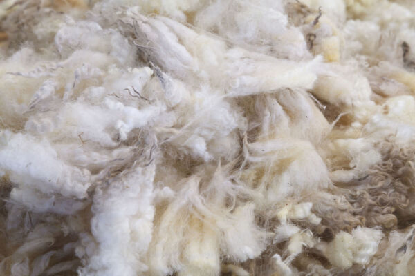 Types Of Asbestos | Differences, Identifying, Risks & Health