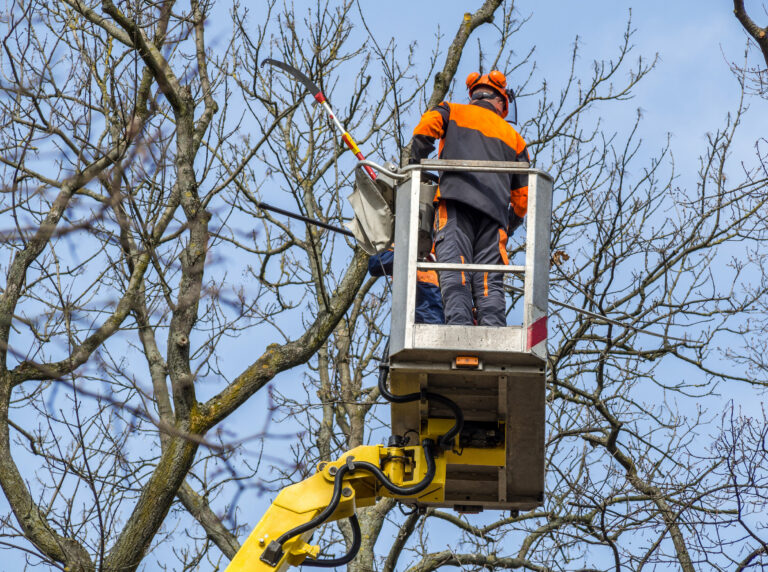 Using MEWPS | Types, Hazards, Responsibilities, Law & Regulations