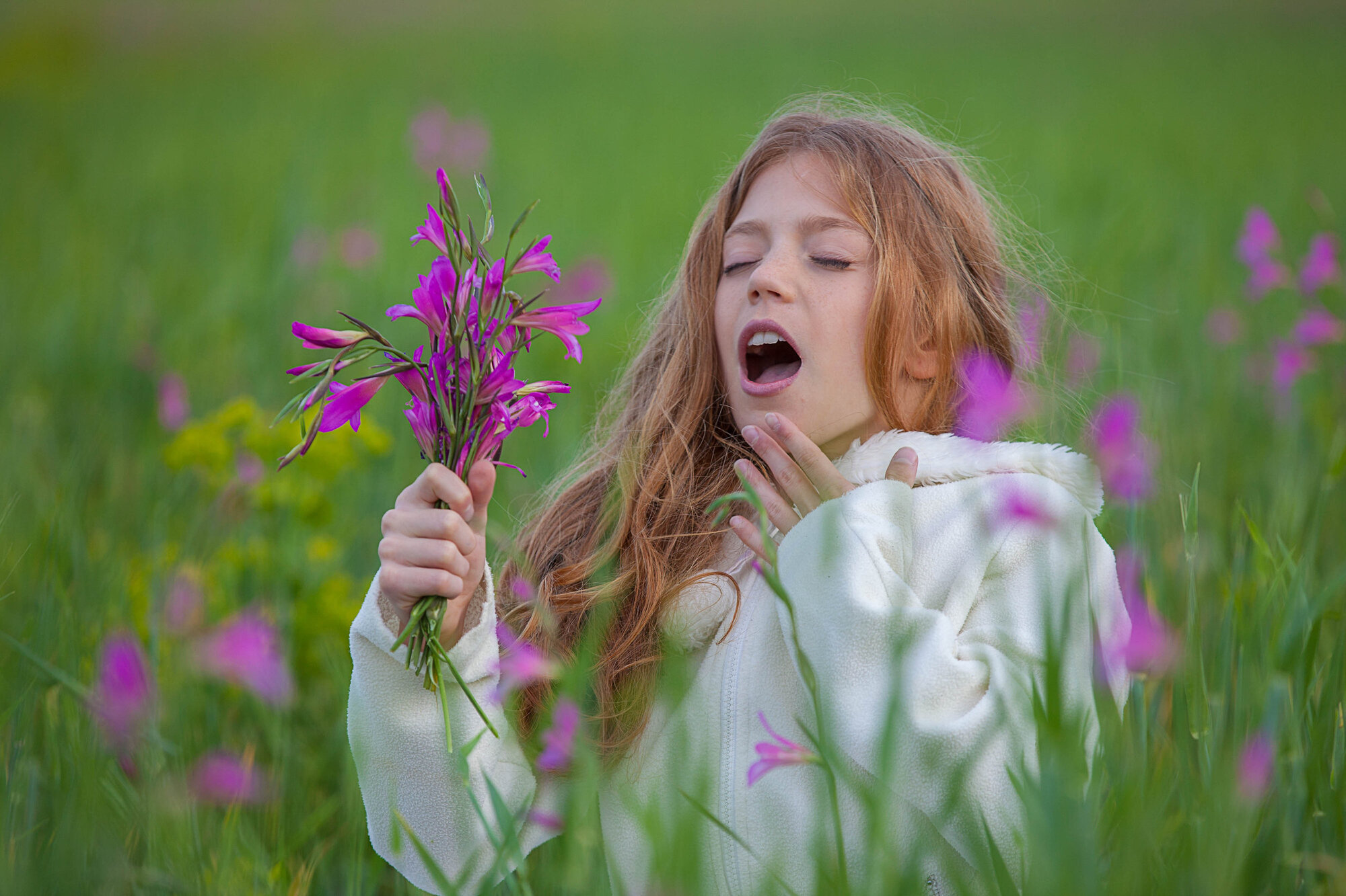 Different Types of Hay Fever | Causes, symptoms, diagnosis & treatments