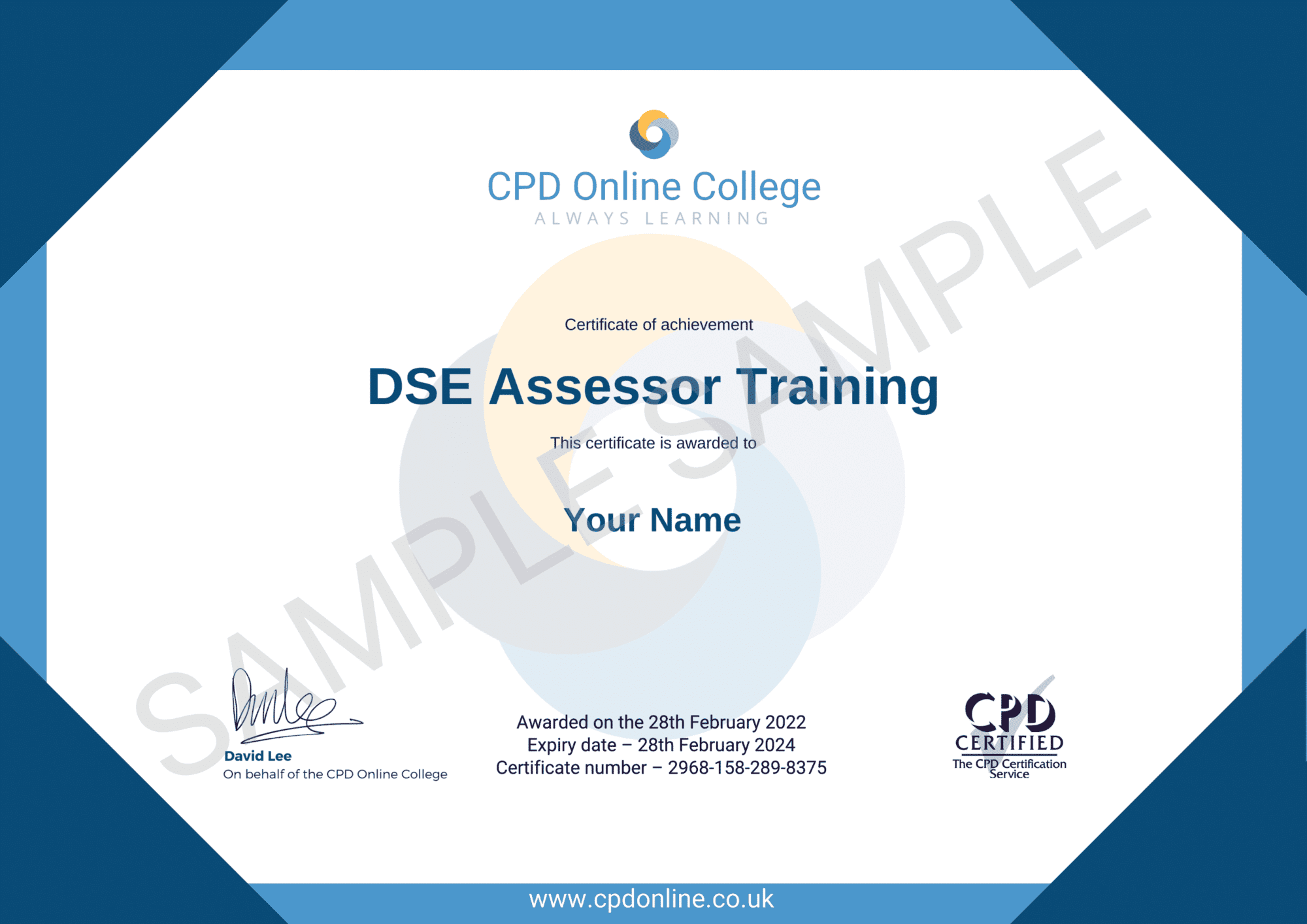 DSE Assessor Training | CPD Approved Online Training & Certificate
