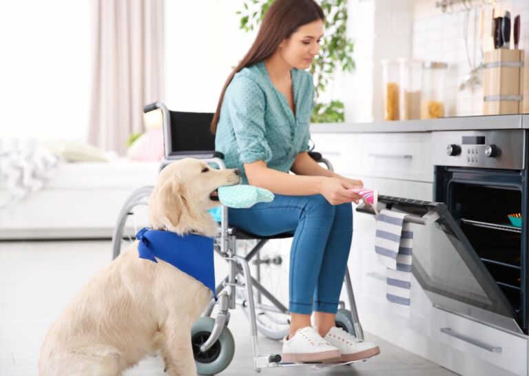 How to Become a Guide Dog Trainer | Hours, roles & earnings