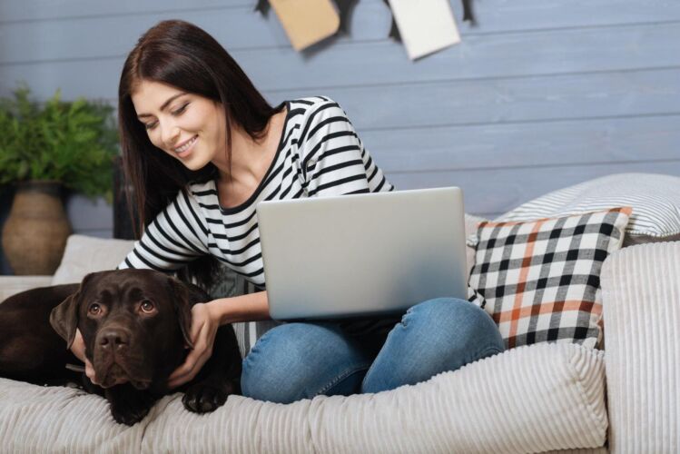 How to Become a Guide Dog Trainer | Hours, roles & earnings