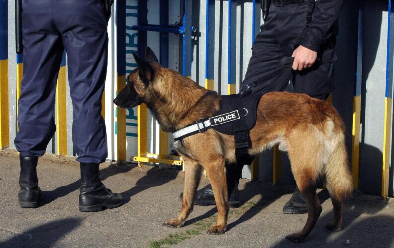 How to Become a Police Officer | Hours, roles & qualifications