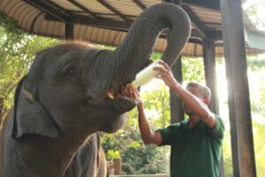 How to Become a Zookeeper | Hours, roles & qualifications
