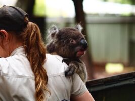 How to Become a Zookeeper | Hours, roles & qualifications