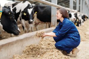 How to Become a Zookeeper | Hours, roles & qualifications
