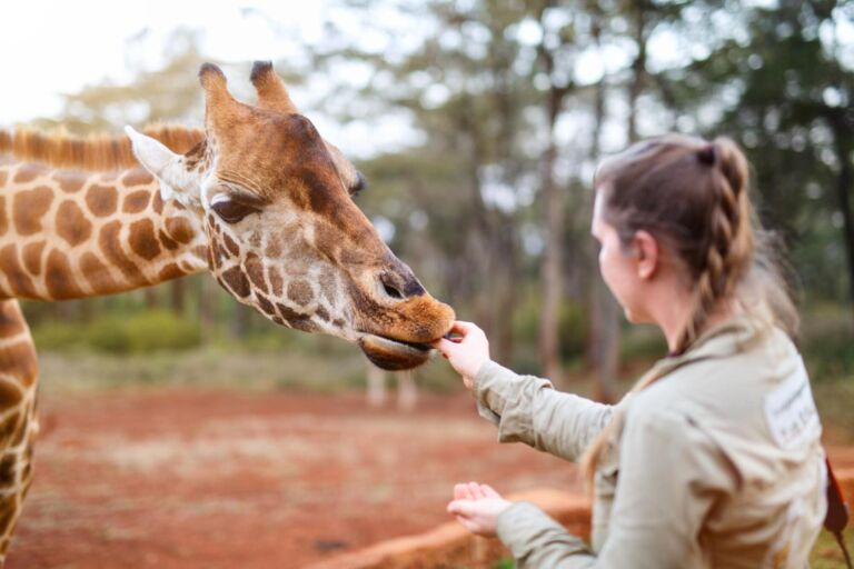 How to Become a Zookeeper | Hours, roles & qualifications
