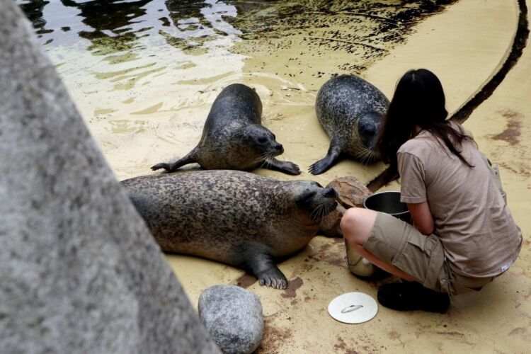 How to Become a Zookeeper | Hours, roles & qualifications