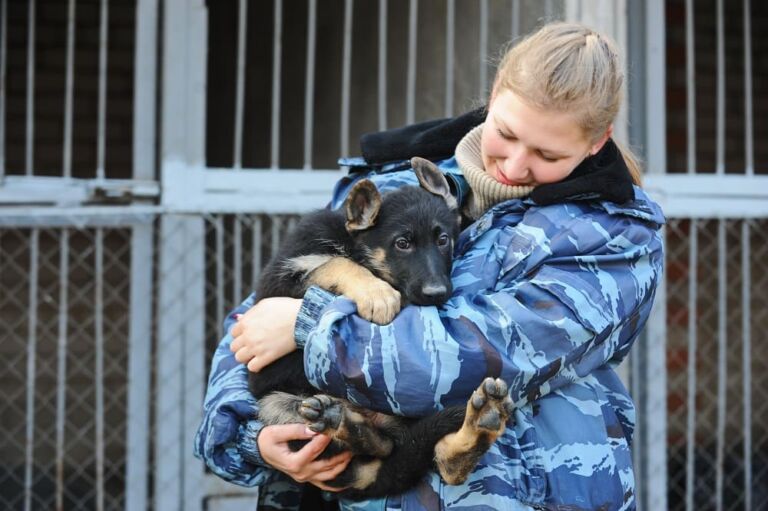How to Become an Army Dog Handler | Hours & qualifications