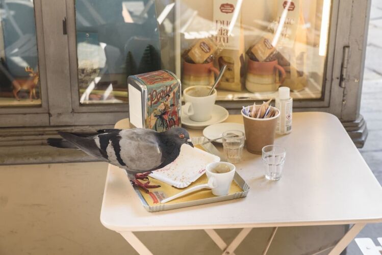 Food Safety Guide for Cafes | Hazards, waste, storage