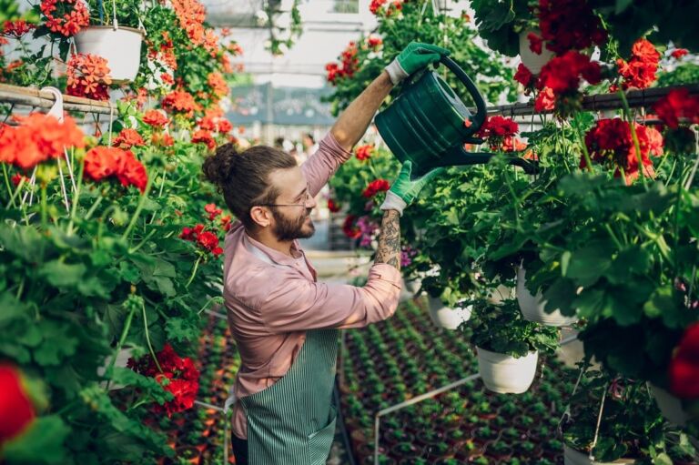 How to Become a Florist | Hours, roles, qualifications & earnings