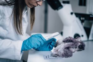 How to Become a Forensic Scientist | Hours, roles & qualifications