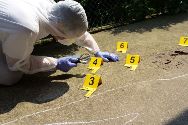 How to Become a Forensic Scientist | Hours, roles & qualifications