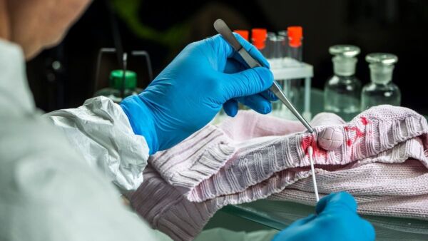 How to Become a Forensic Scientist | Hours, roles & qualifications