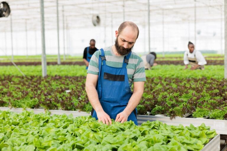 Key Aspects of Pest Control Legislation in the UK