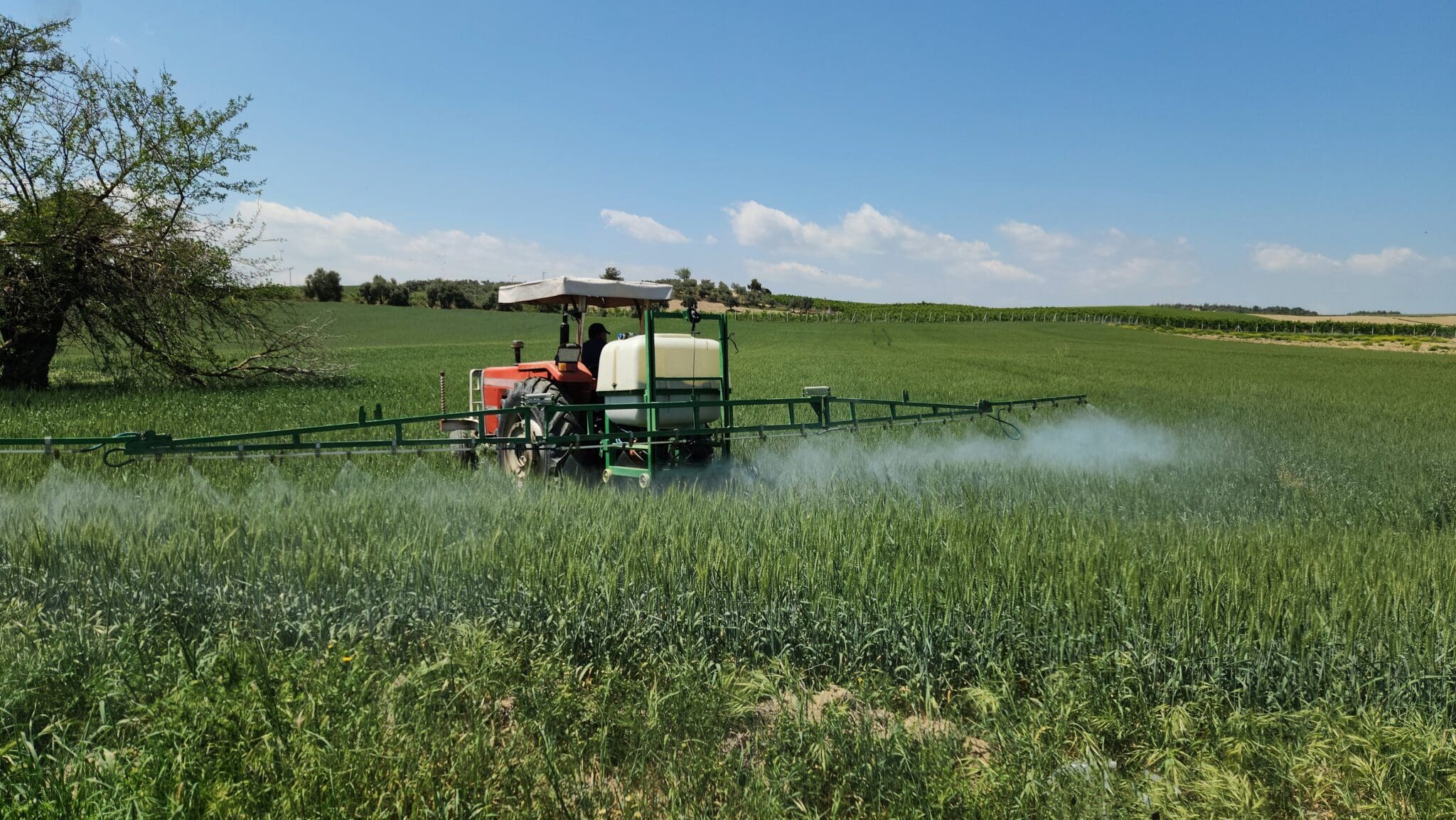 Key Aspects of Pest Control Legislation in the UK