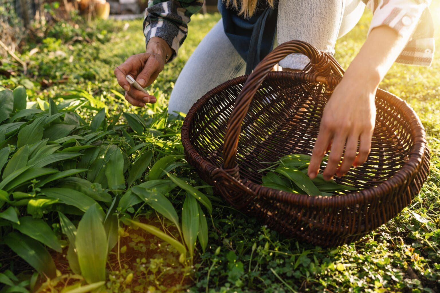 Food Waste: 5 Effective Strategies for Catering Success